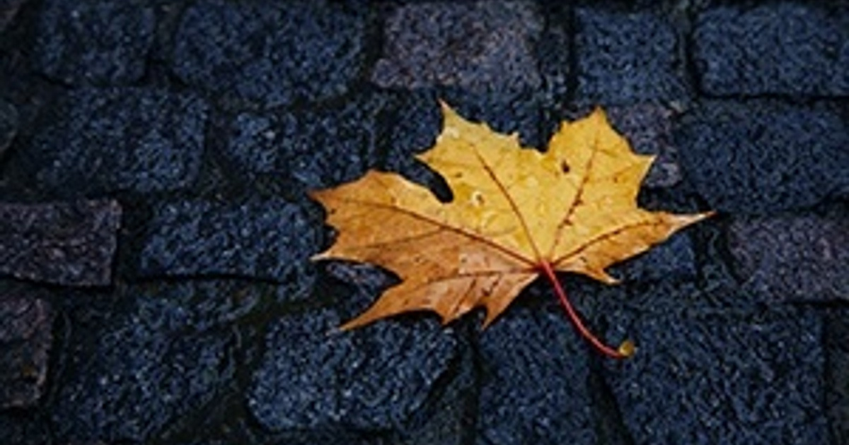 CBI | The 'Hard' Change System